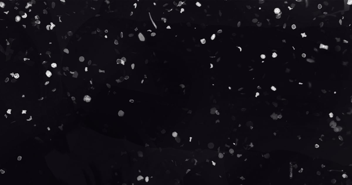 UK Funky Flashback - BOILER ROOM