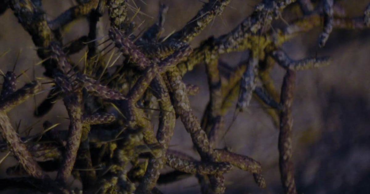 Floating Points - 'Reflections' - BOILER ROOM